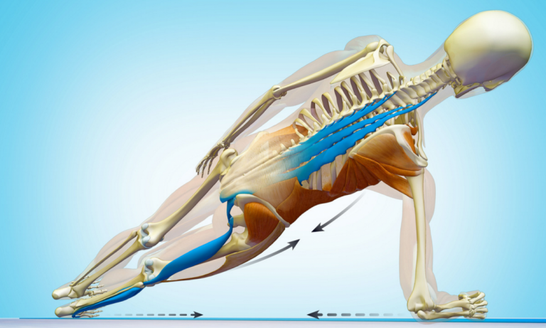 Deep longitudinal system & core stabilisation - Part 4