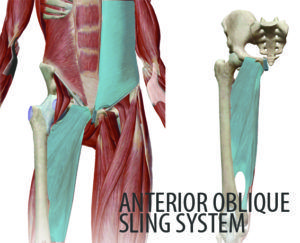 Anterior Oblique System & Core stabilisation - Part 1