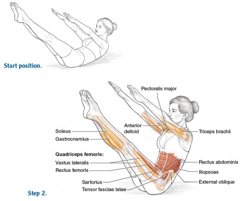 Doe's isolation exist in the body?